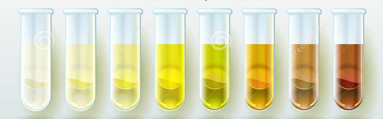 Calcoli Renali – Salute e Nutrizione